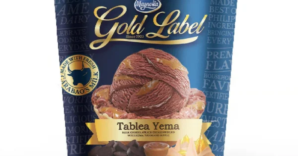 Magnolia Gold Label Tablea Yema Dark Chocolate Ice Cream 450 ml, Pack Of 16