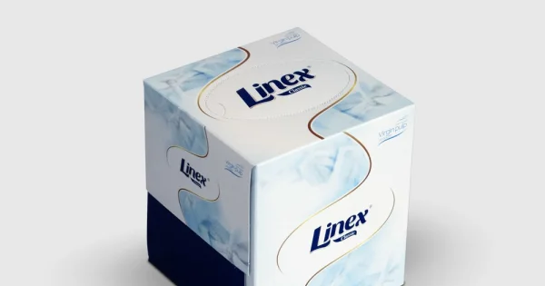 Linex Classic 100 Sheets x 2 Ply Boutique Facial Tissues 100x24